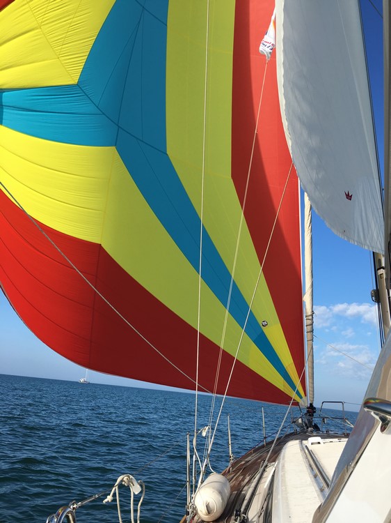 Drapeau APAC (2) – APAC Association des Plaisanciers d'Agde et du Cap